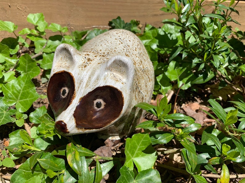 Large 6 Pigeon Forge Pottery D Ferguson Raccoon Figurine | Etsy