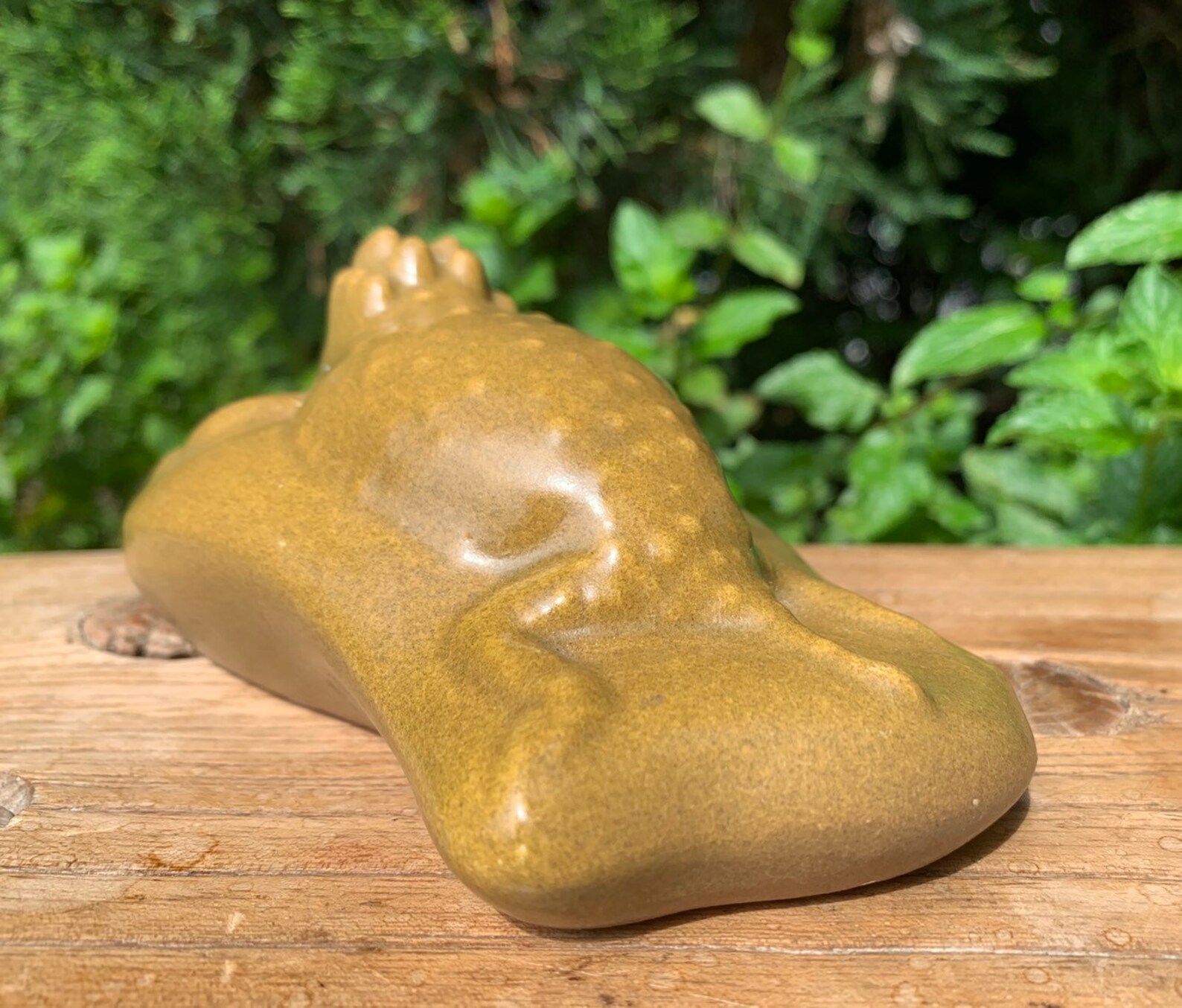 Old Rip the Horned Horny Toad Lizard House of Webster Ceramics - Etsy