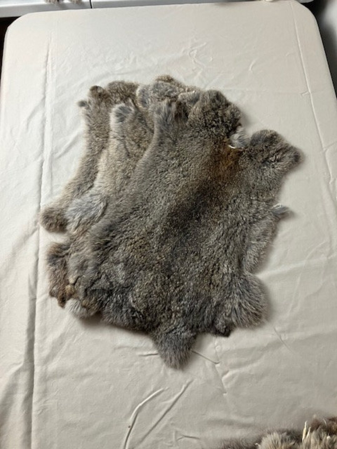 Rabbit Furs/barbarian Brown Color/craft Grade - Etsy