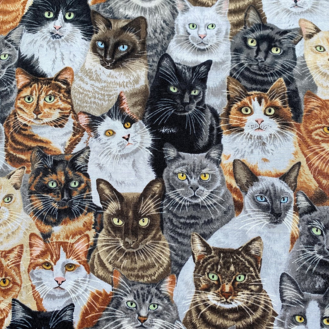Mixed Breed of Cats Print Fabric, 100% Craft Cotton Kitty Print Fabric ...