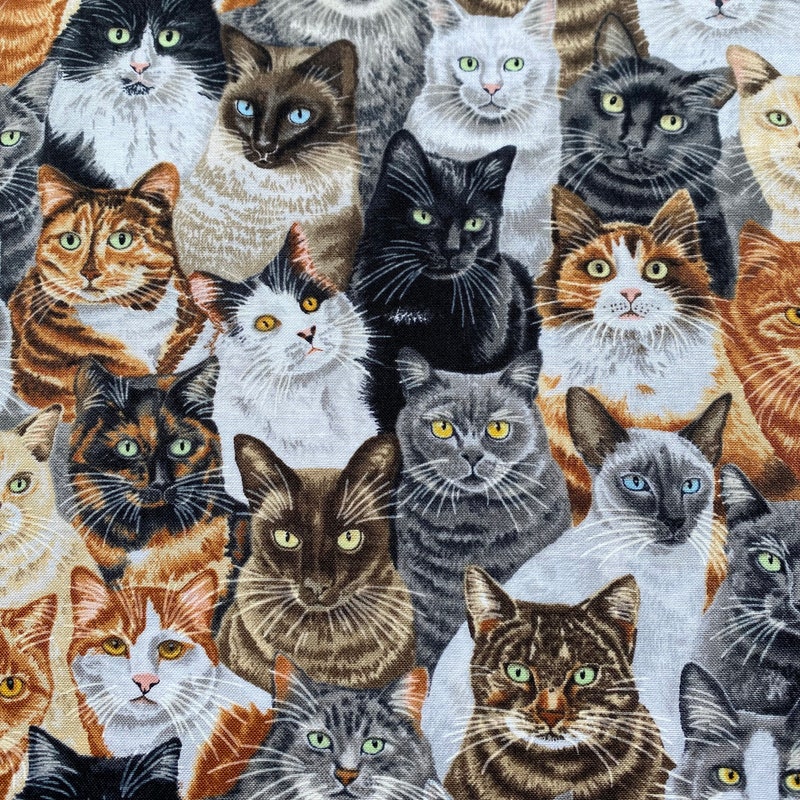 Cat Print Fabric - Etsy