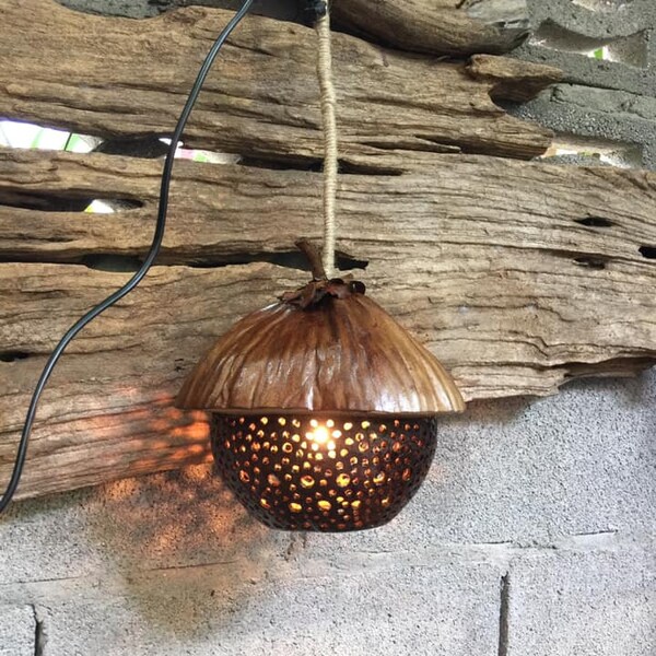 Carved Coconut - Etsy