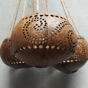 Set 3 PCS Natural Coconut Plant Hanging Pot Flower Coconut - Etsy