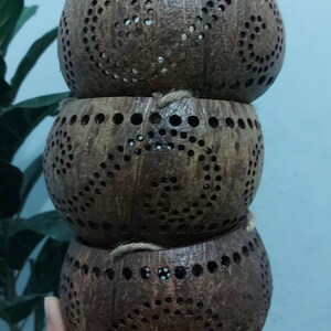 Set 3 PCS Natural Coconut Plant Hanging Pot Flower Coconut - Etsy