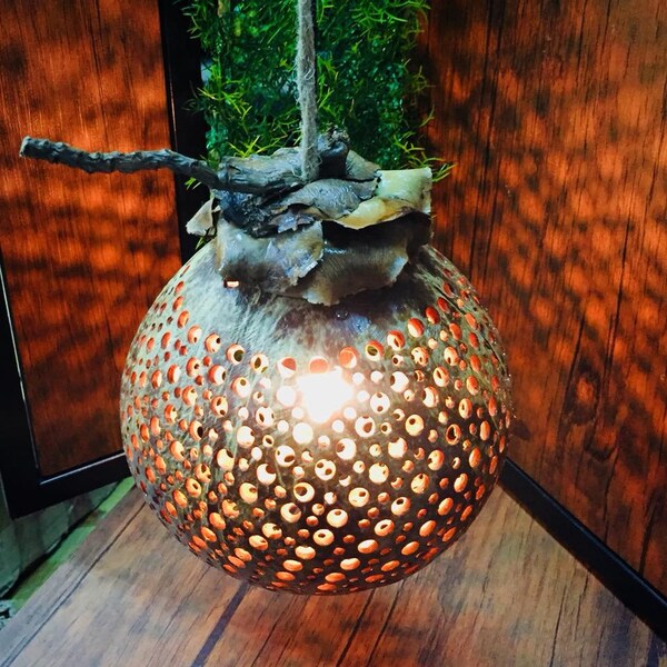 Carved Coconut - Etsy