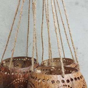 Set 3 PCS Natural Coconut Plant Hanging Pot Flower Coconut - Etsy