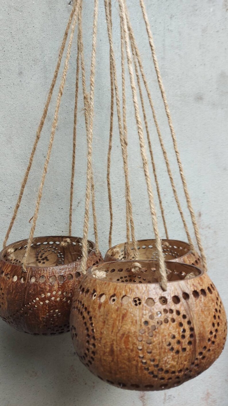 Set 3 PCS Natural Coconut Plant Hanging Pot Flower Coconut - Etsy