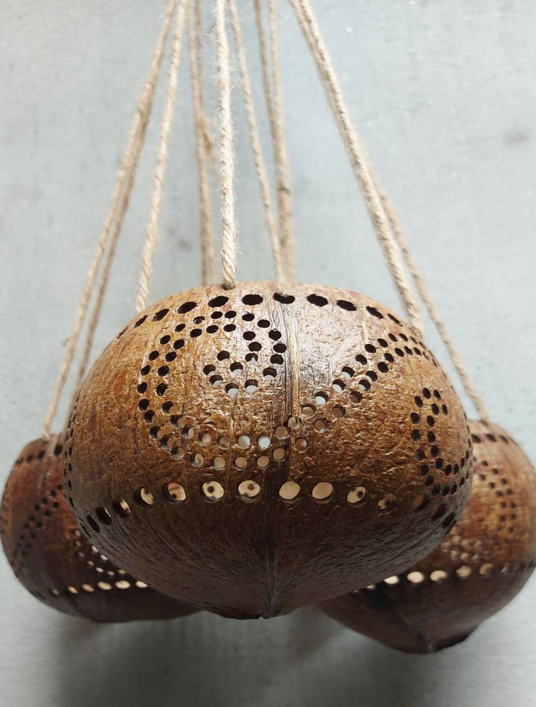 Set 3 PCS Natural Coconut Plant Hanging Pot Flower Coconut - Etsy