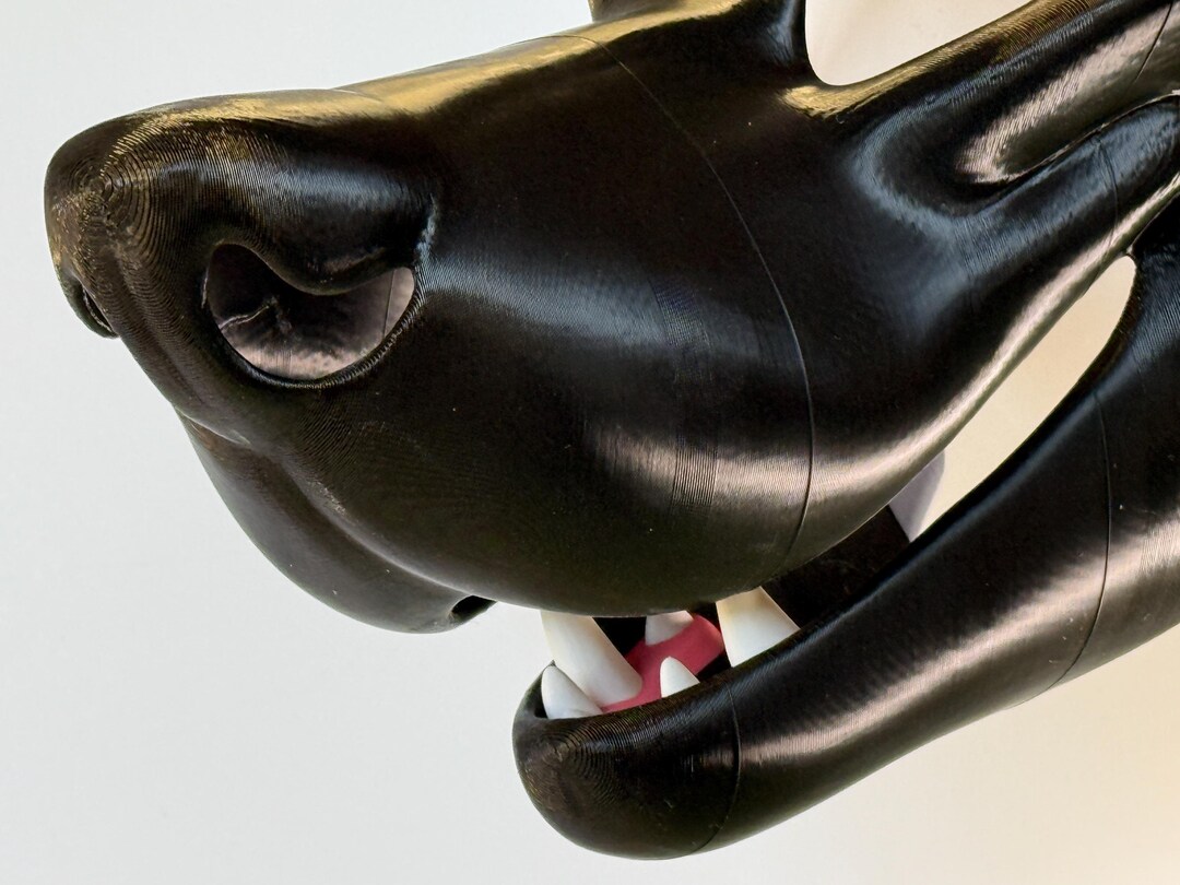 Wolf Dog Teeth - Etsy