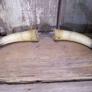 Cowboy Wall Hung Steer Horns, Cow Horns - Etsy