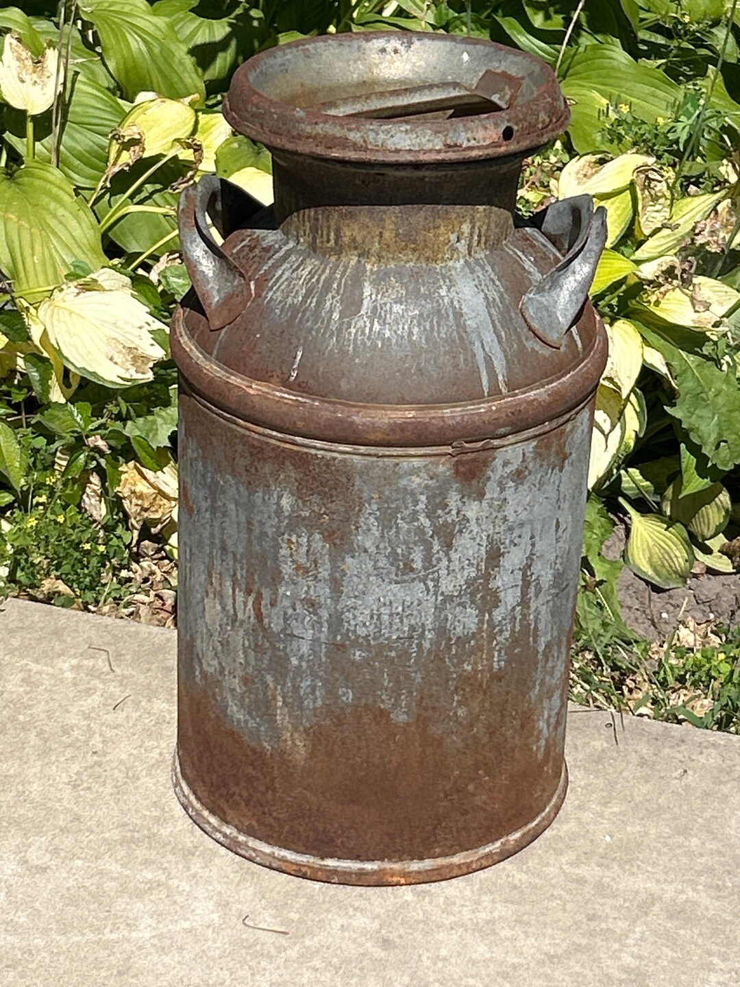 Vintage 10 Gallon Milk Can Syrup Bucket.... Farm Salvage. Garden ...