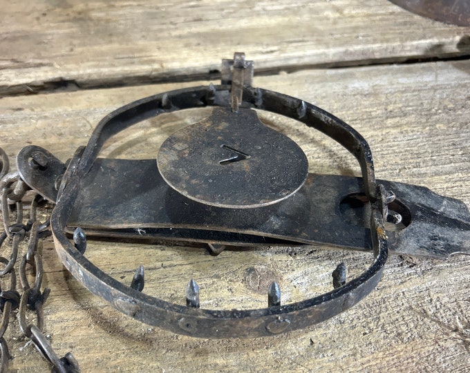 Vintage Wolf Trap , Beaver/ With Teeth! Victor - Etsy