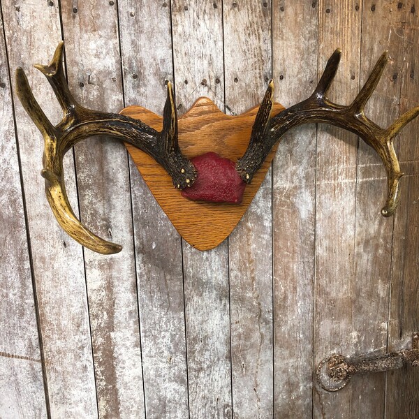 Large Deer Mount - Etsy