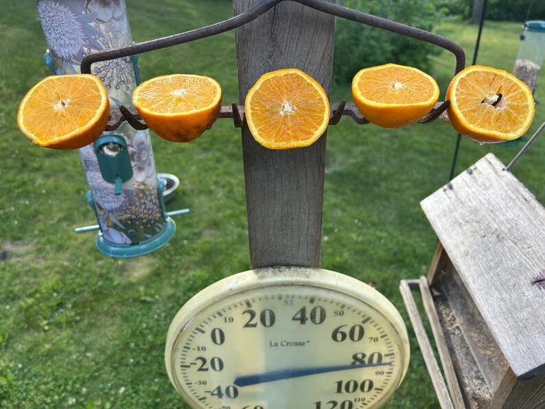 Rake Head Hanger, Tool Holder, Garden Shed. Bird Feeder, Orioles - Etsy