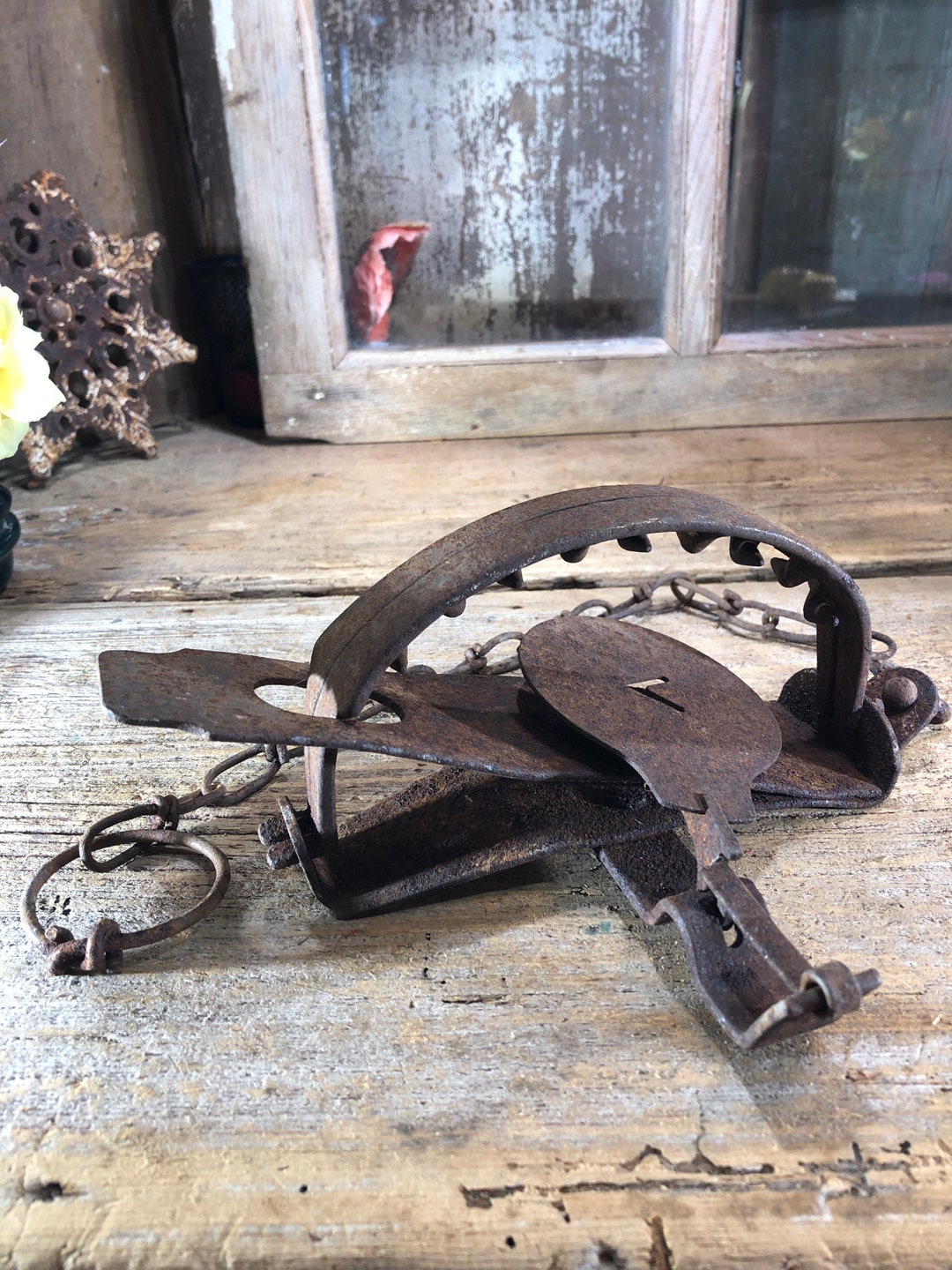 Vintage Wolf Trap , Beaver/ With Teeth Victor 14 - Etsy