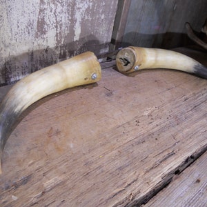 Cowboy Wall Hung Steer Horns, Cow Horns - Etsy