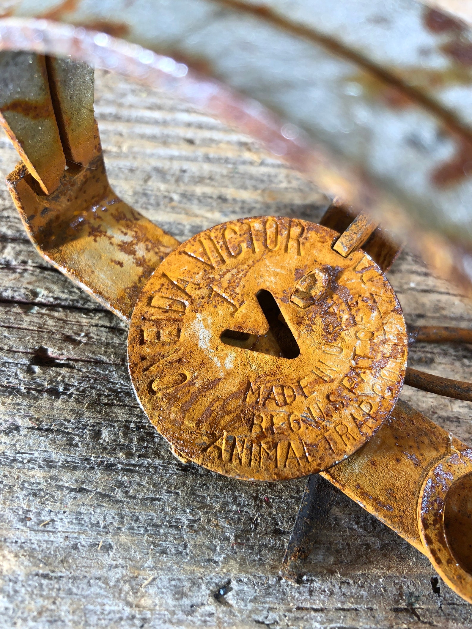 Vintage Barn Rat Trap. Animal Trap cleaned - Etsy