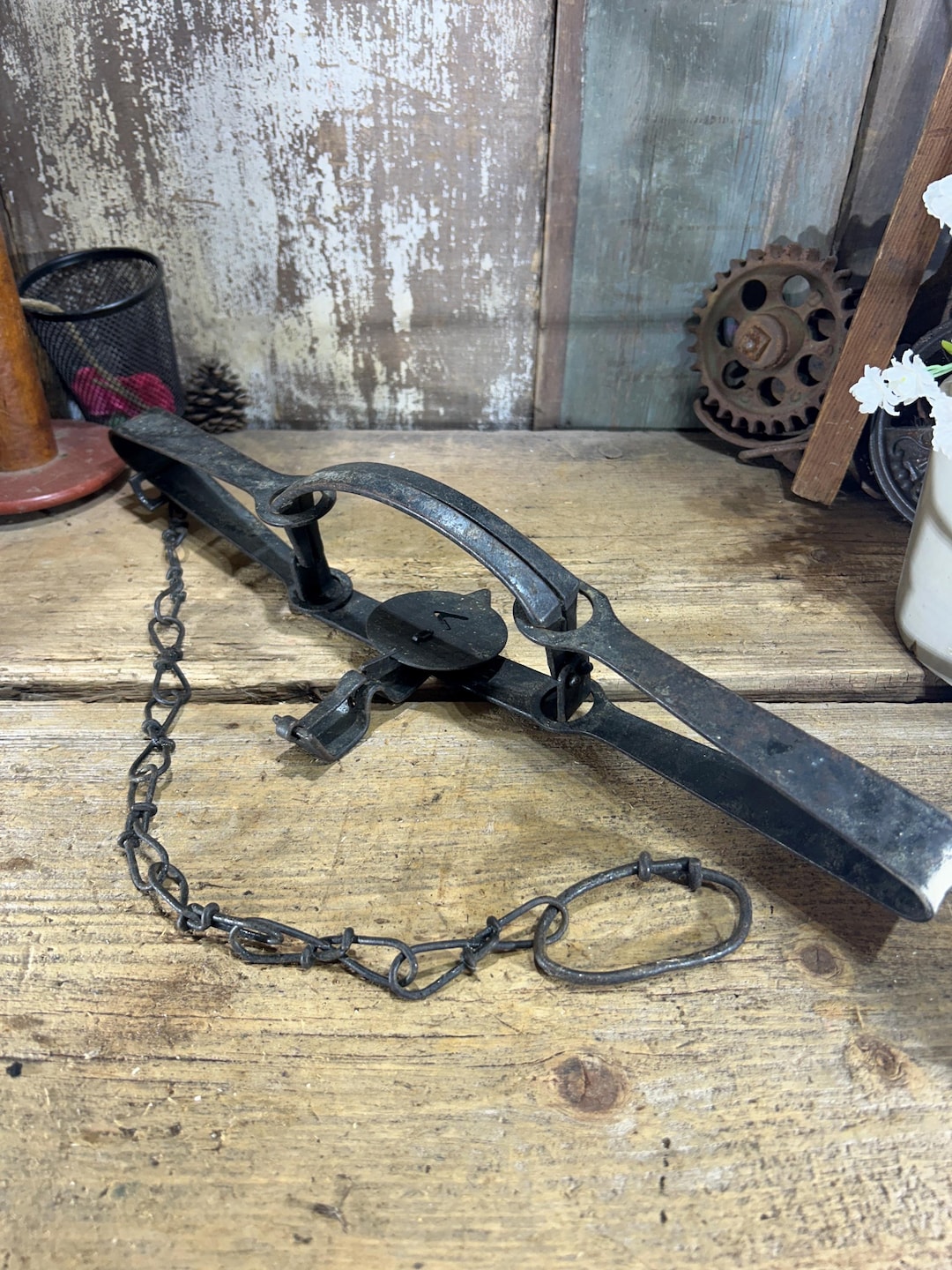 Vintage Trap 1900 ’s Era, Victor Brand , Coyote, 19 ” Long , Cabin ...