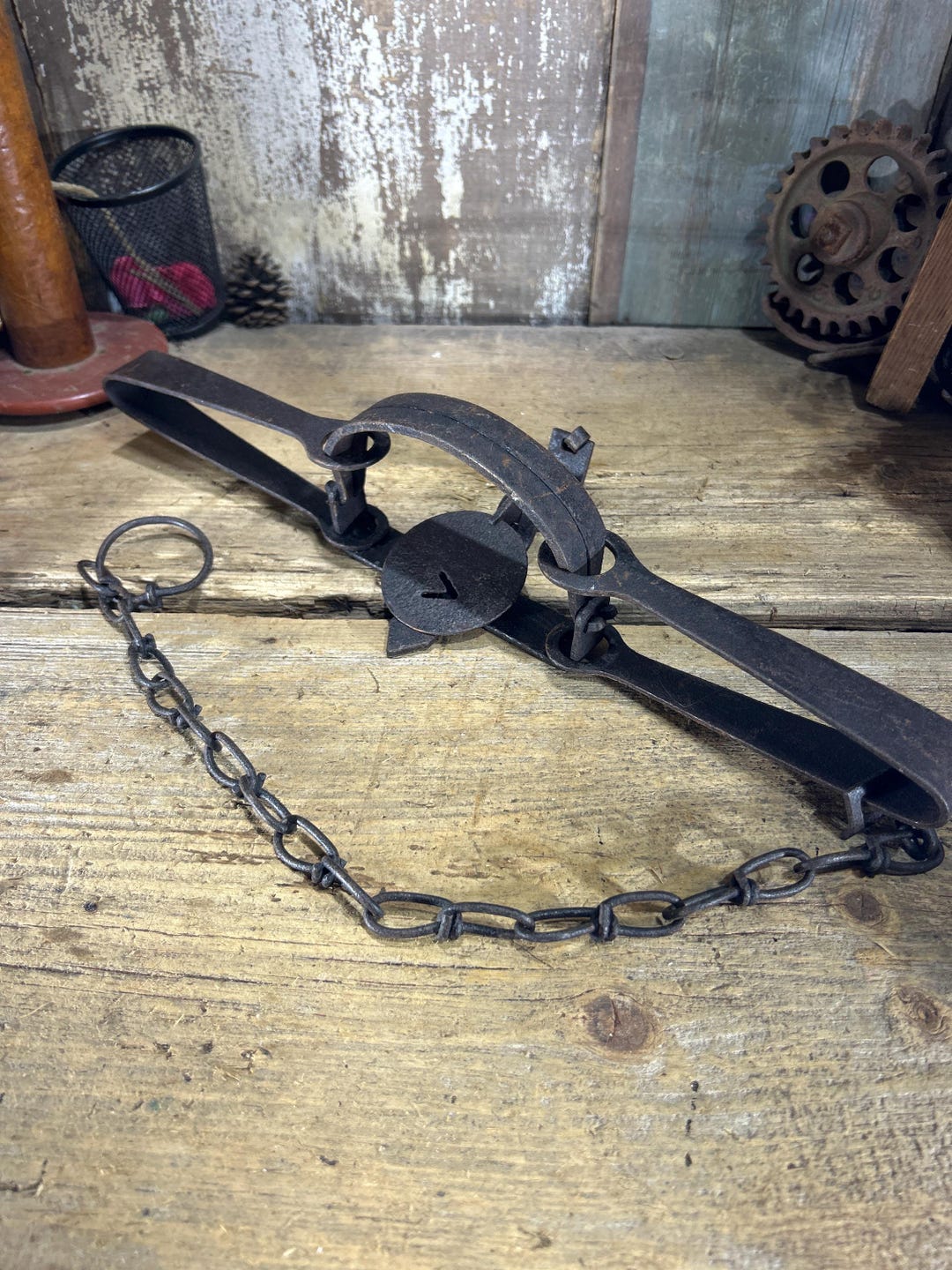 Vintage Trap 1900 ’s Era, Victor Brand , Coyote, 17 ” Long , Cabin ...