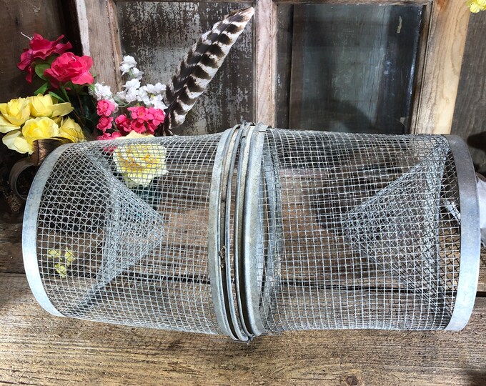 Vintage Wire Minnow Fish Trap - Etsy