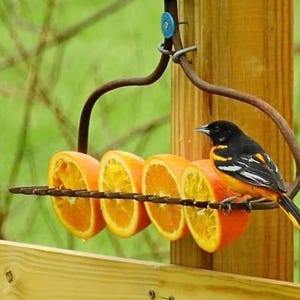 Rake Head Hanger, Tool Holder, Garden Shed. Bird Feeder, Orioles - Etsy