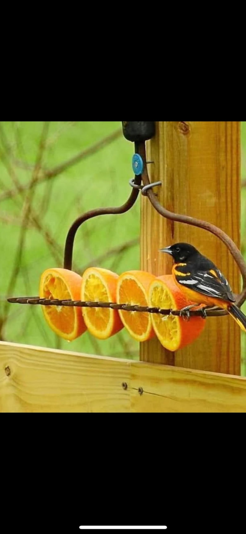 Rake Head Hanger, Tool Holder, Garden Shed. Bird Feeder, Orioles - Etsy