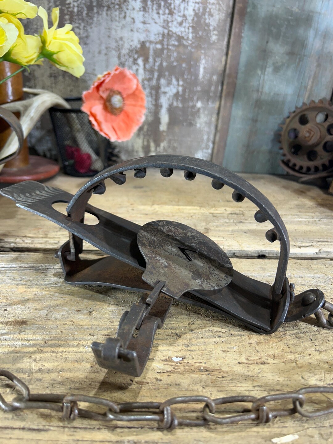 Vintage Wolf Trap , Beaver/ With Teeth! Victor - Etsy