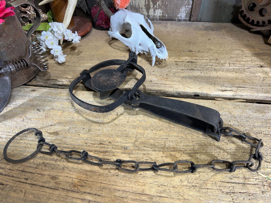 Vintage Barn Rat Trap. Animal Trap, [cleaned] - Etsy