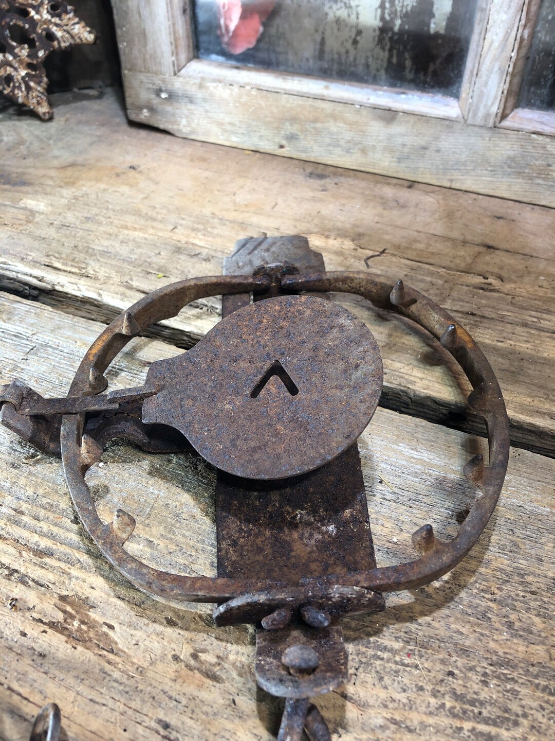 Vintage Wolf Trap , Beaver/ With Teeth Victor 14 - Etsy