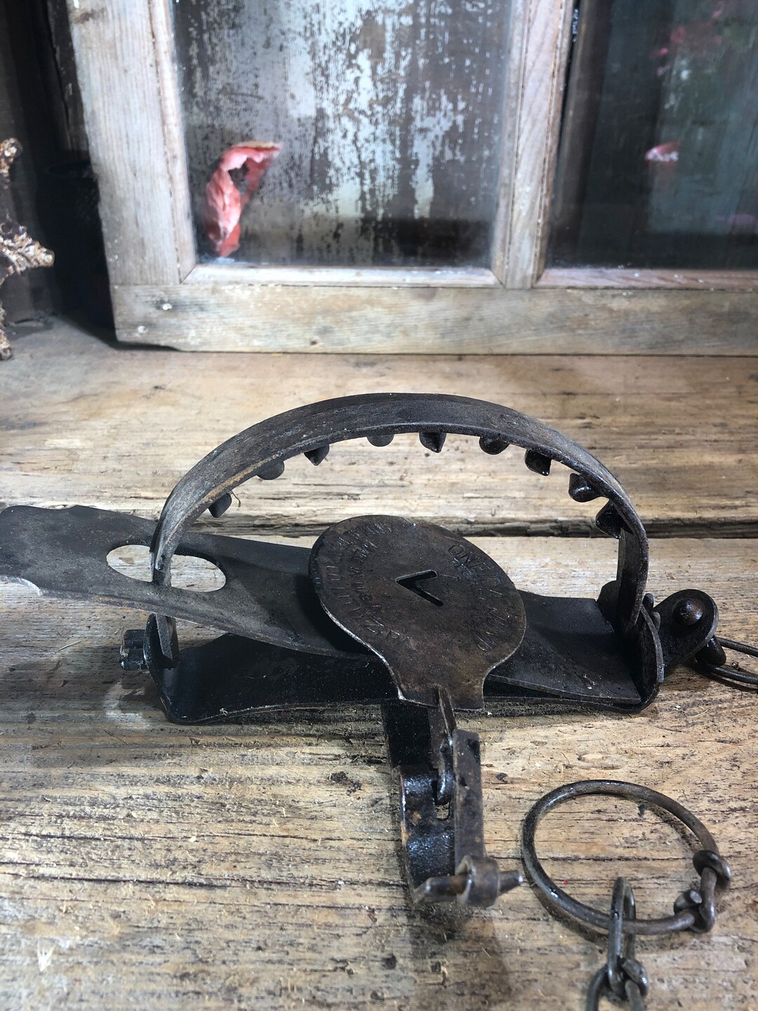 Vintage Wolf Trap , Beaver/ With Teeth! Victor 14 - Etsy