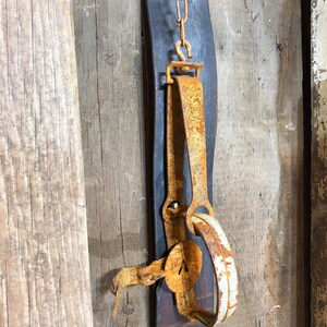 Vintage Barn Rat Trap. Animal Trap, [cleaned] - Etsy