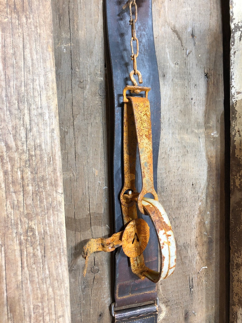 Vintage Barn Rat Trap. Animal Trap cleaned - Etsy
