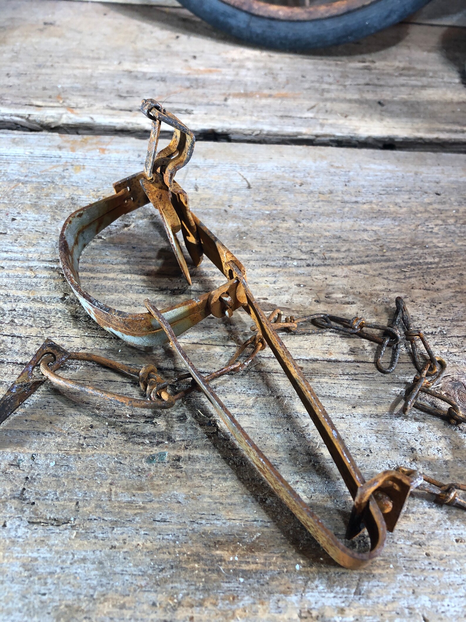 Vintage Barn Rat Trap. Animal Trap cleaned - Etsy