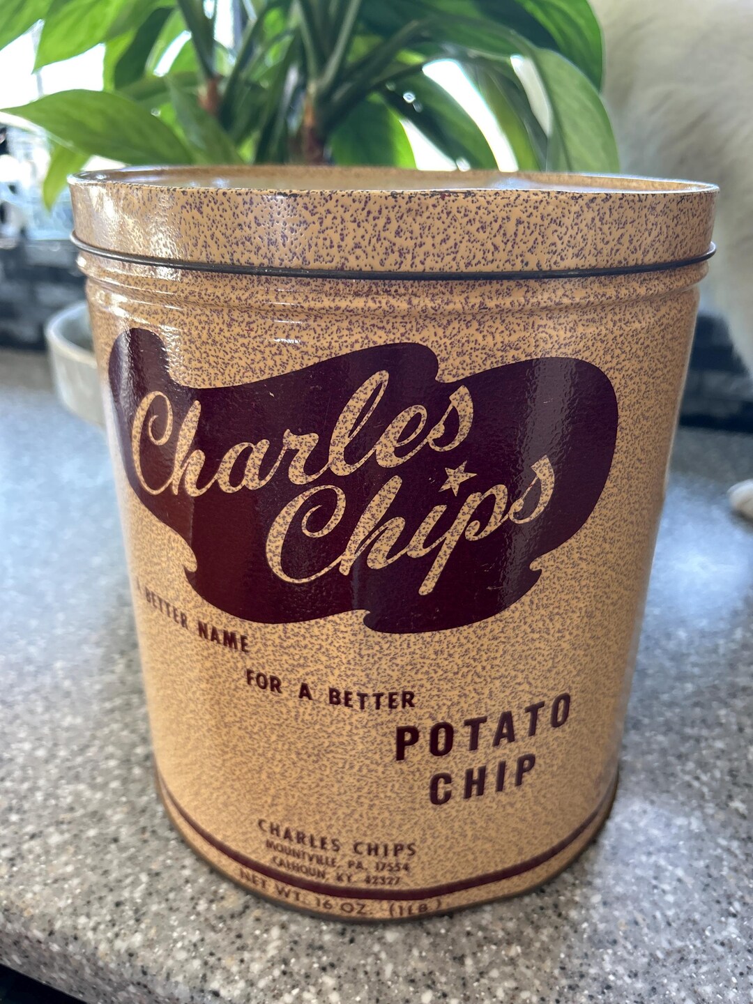 Antique Charlie’s Chips Tin 1 Lb. Original Tin, Mountville PA - Etsy
