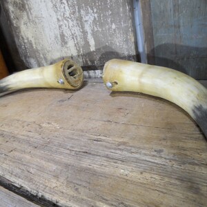 Cowboy Wall Hung Steer Horns, Cow Horns - Etsy