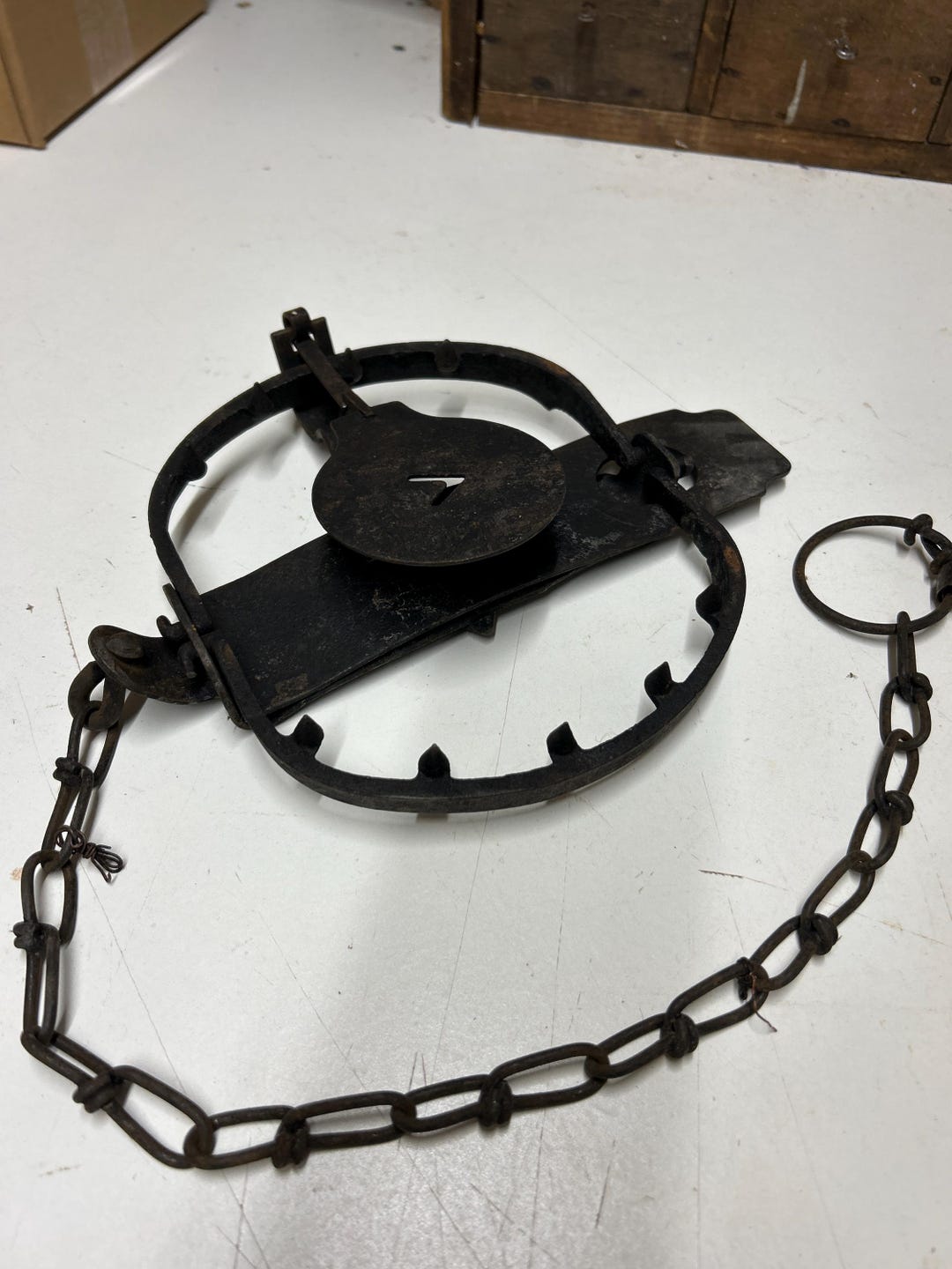Vintage Wolf Trap , Beaver/ With Teeth! Victor 14 - Etsy