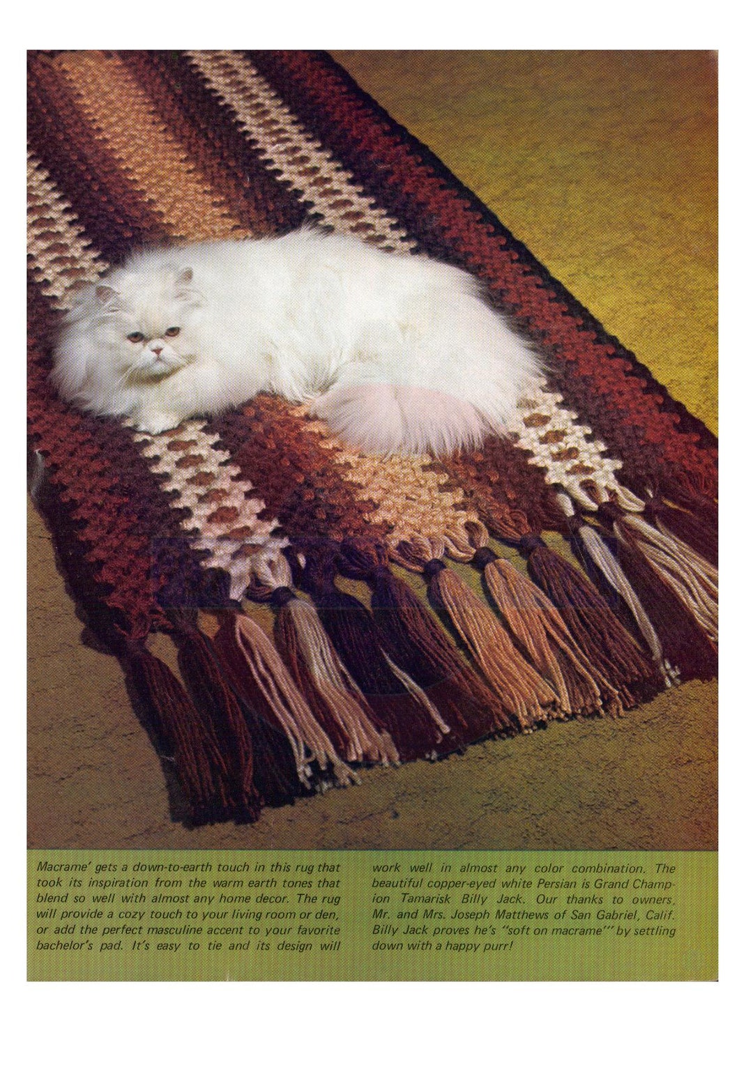 Vintage 70s Macrame "earthling" Rug Pattern Instant Download PDF 2 ...