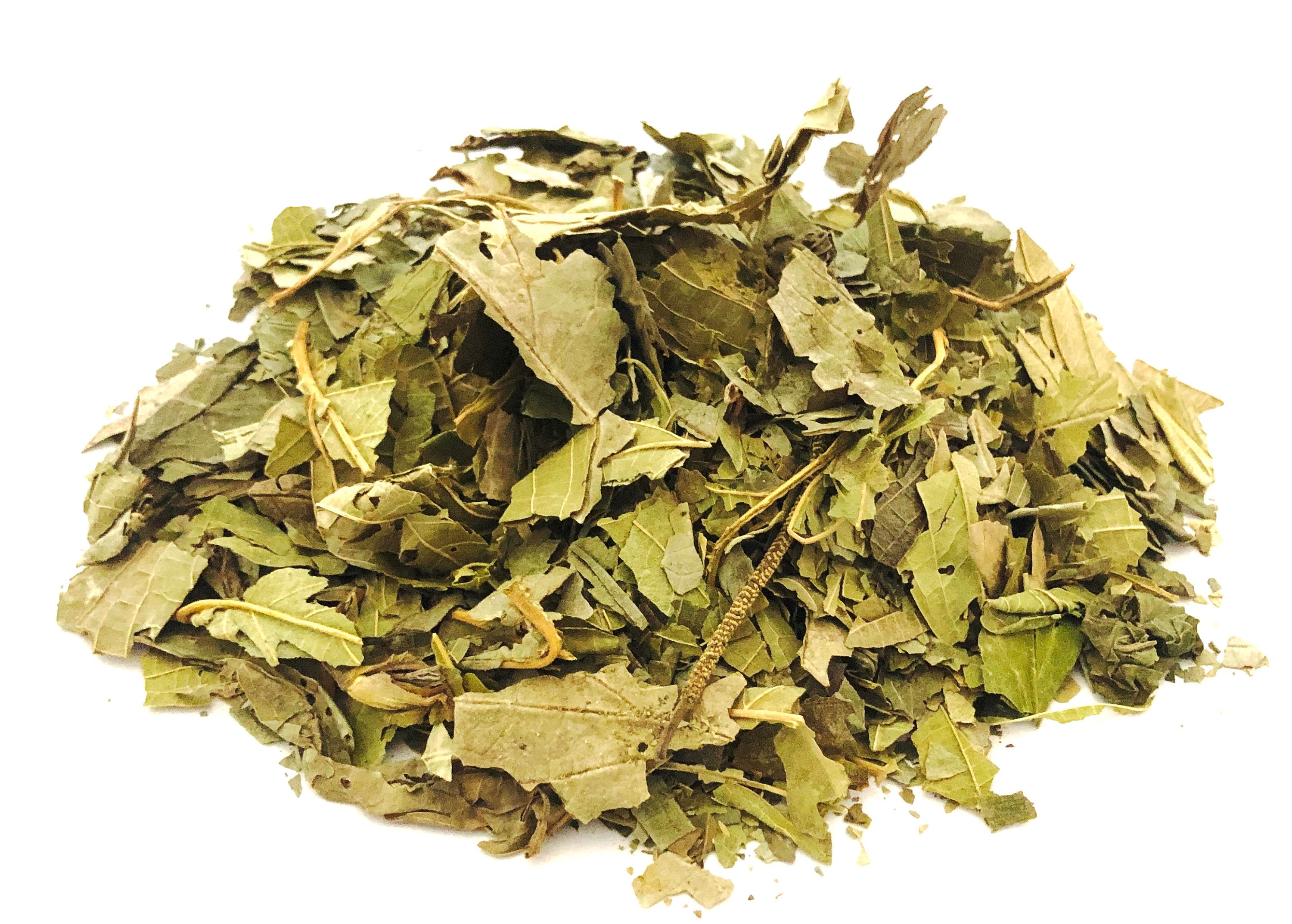 Matico Tea Herbal Infusion Tea Zip Lock (100g) Hierba Del Soldado - Etsy