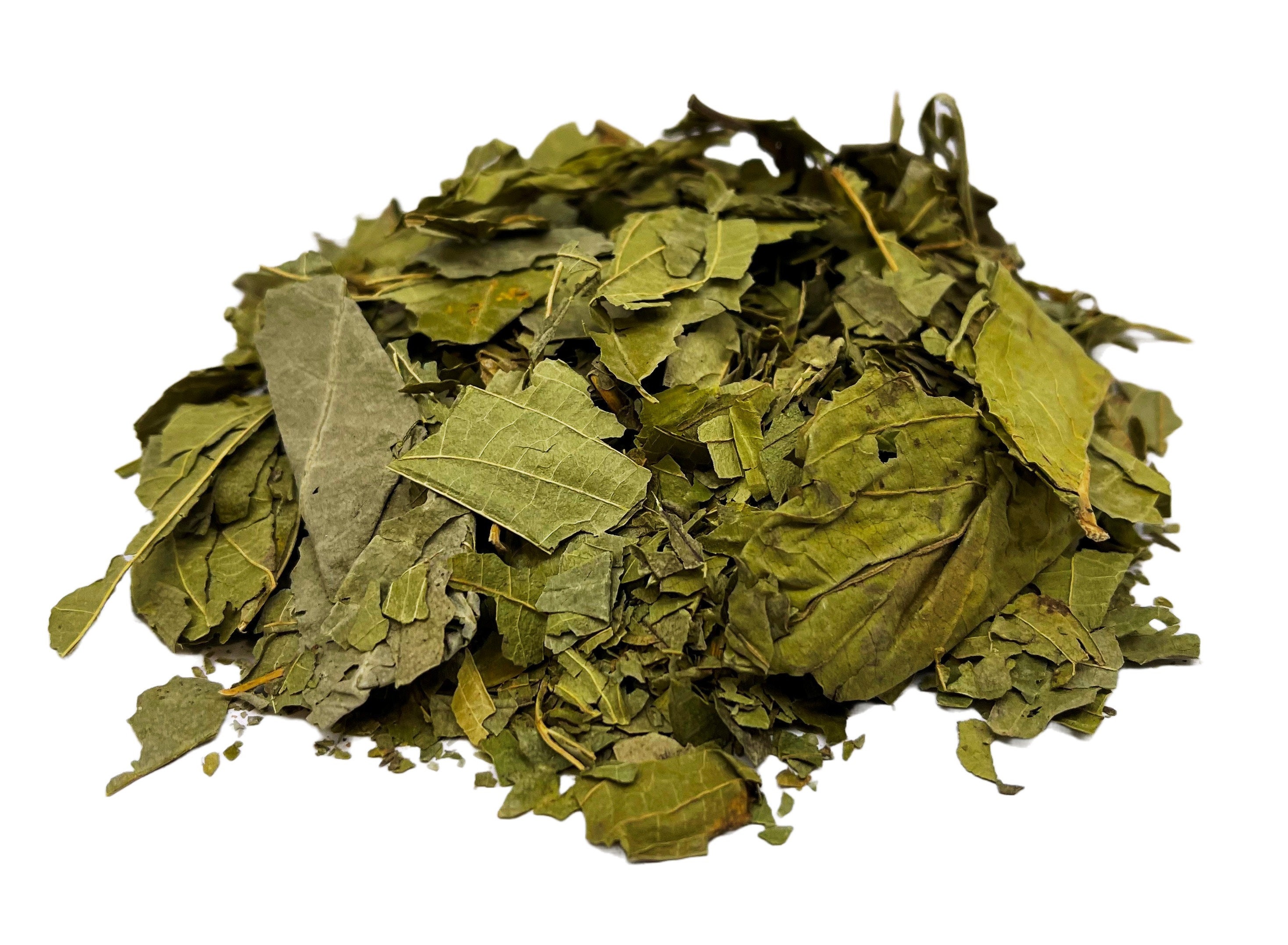 Matico Tea Herbal Infusion Tea Zip Lock (100g) Hierba Del Soldado - Etsy