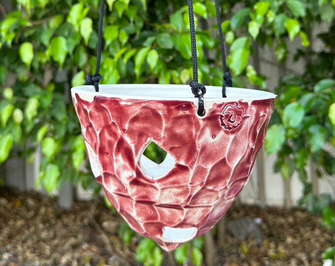 Hanging Orchid Pot - Etsy