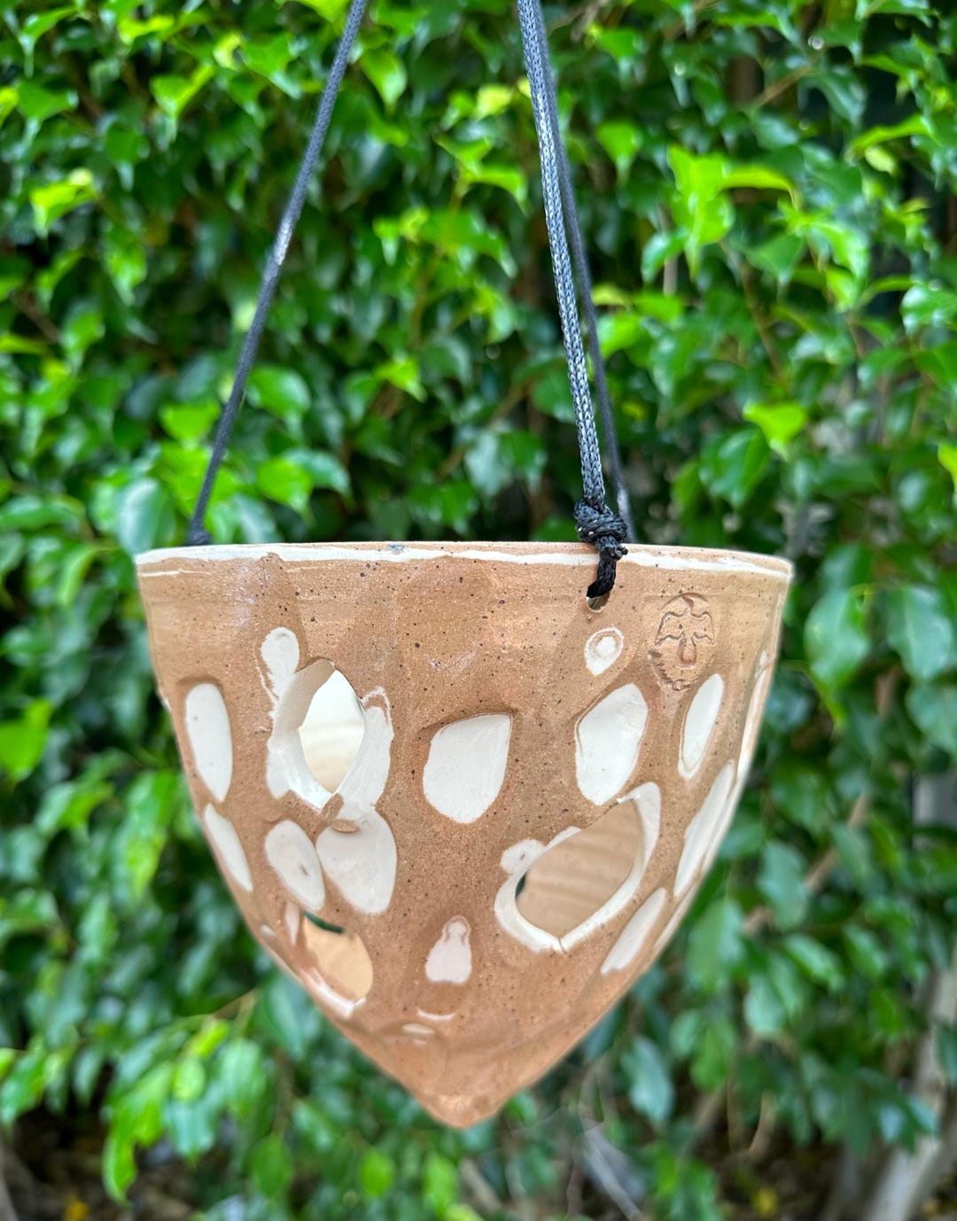 Hanging Orchid Pot - Etsy