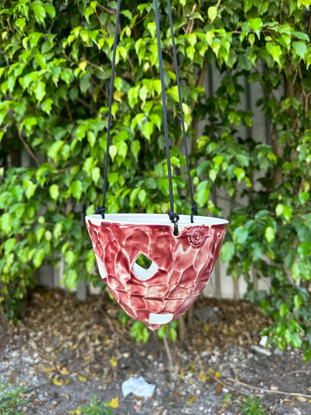 Hanging Orchid Pot - Etsy