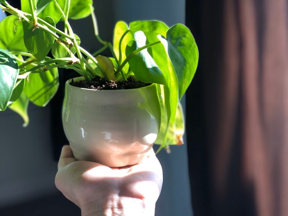 Full Moon Pots - Etsy