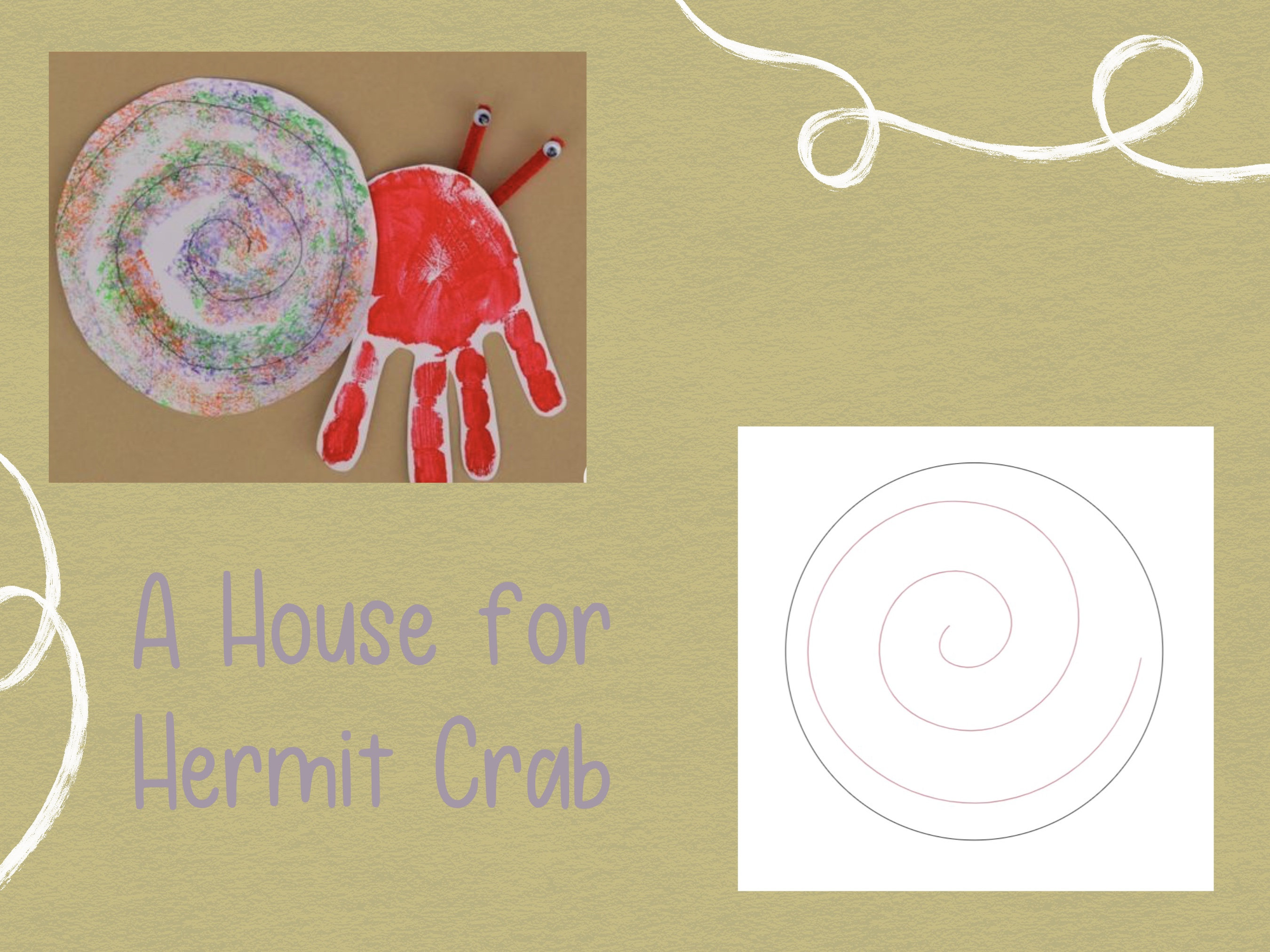 Hermit Crab Shell Template