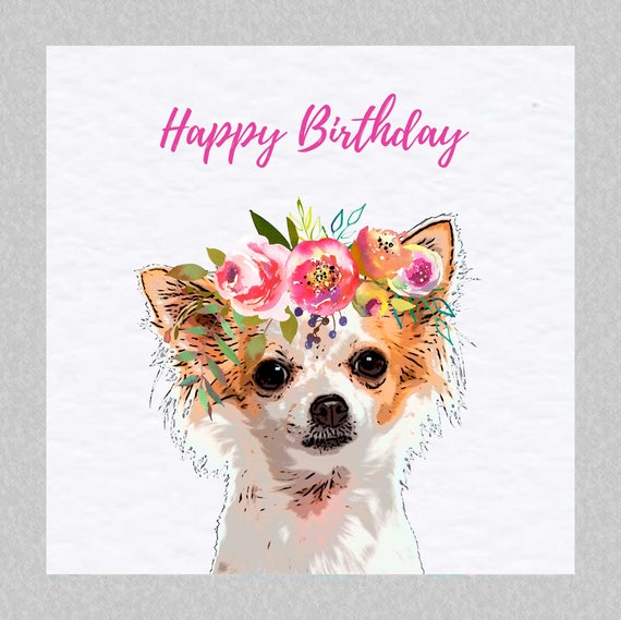 Chihuahua Birthday Card Cute Dog Greeting Card | Etsy