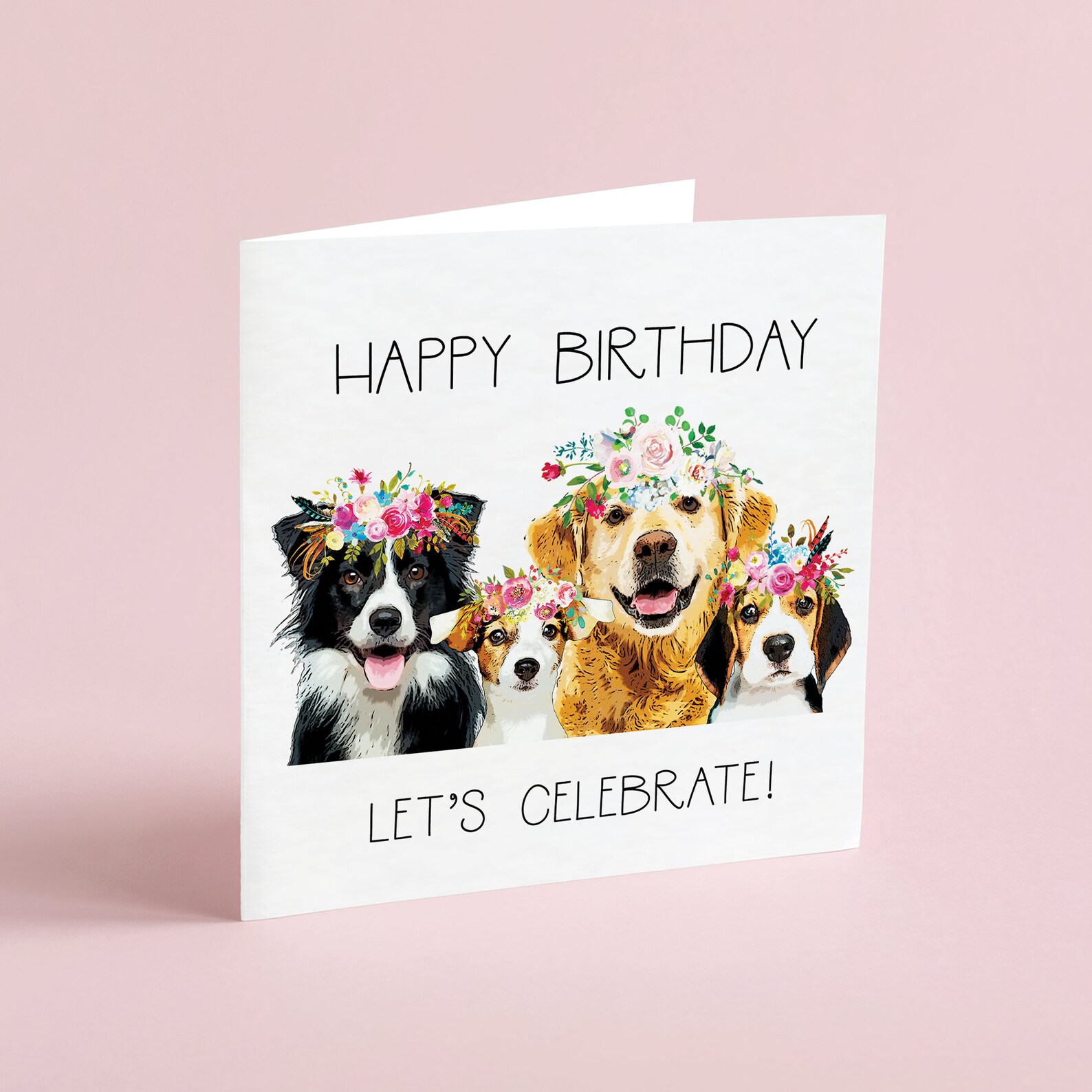 Mixed Dogs Birthday Card Luxury Birthday Card Floral Hats Border Collie ...