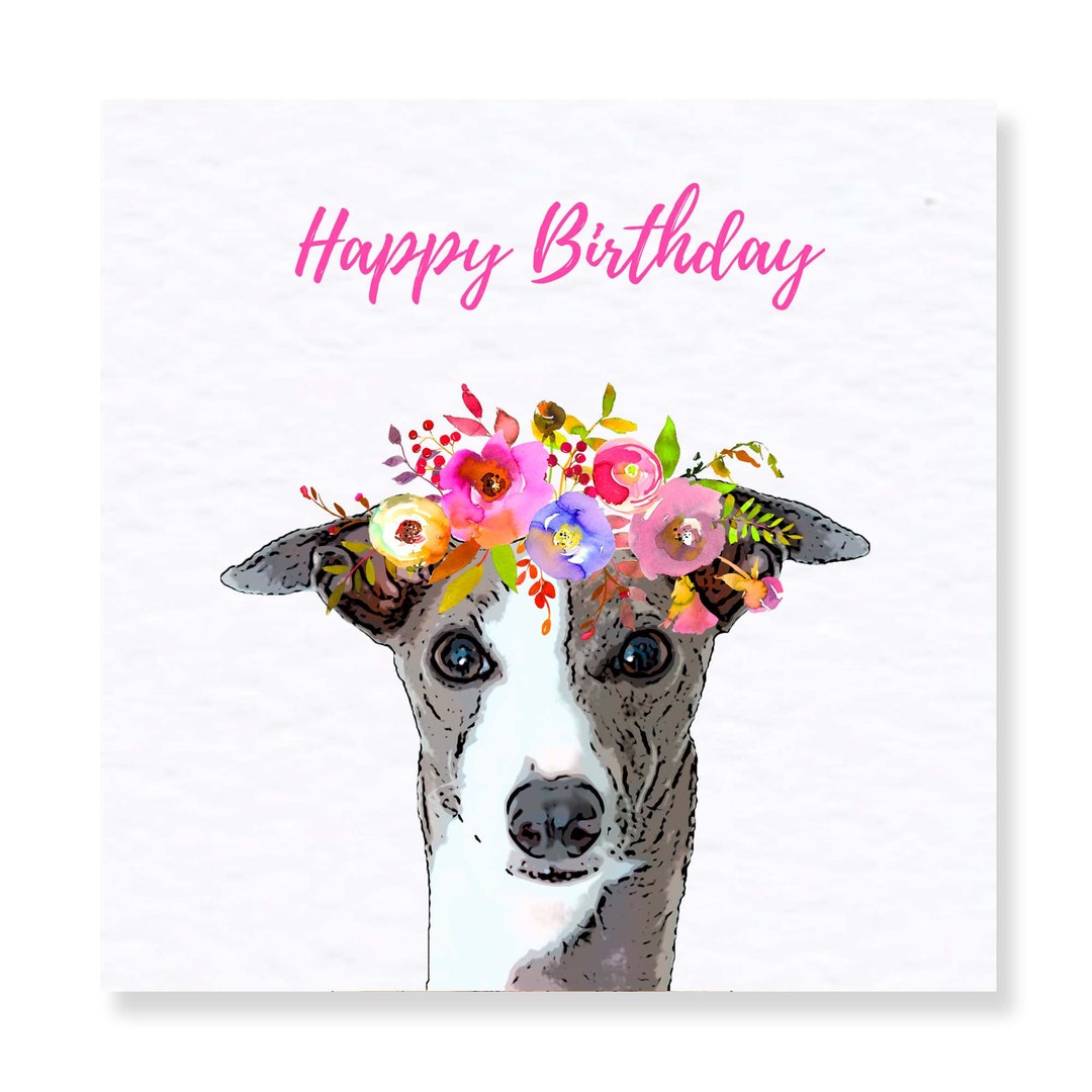 Greyhound Birthday Card - Cute Dog Greeting Card Whippet Lurcher - Etsy