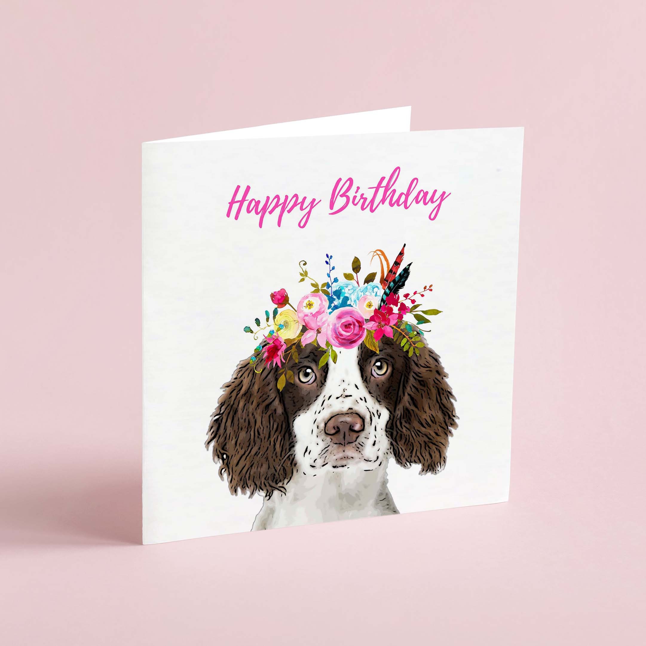 Springer Spaniel Birthday Card - Greeting Card Gift - Etsy UK