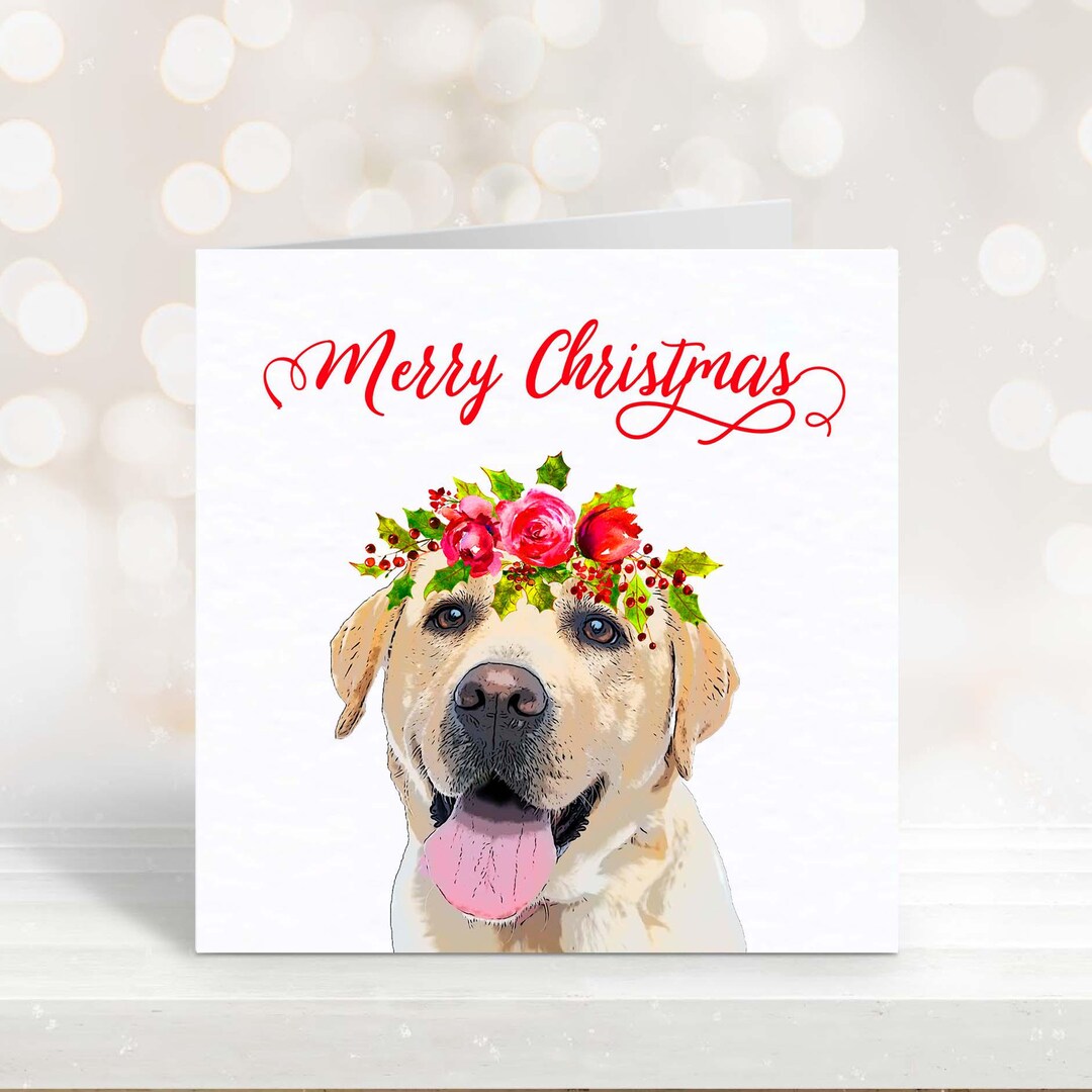 Yellow Labrador Christmas Card - Xmas Cards - Single or Pack of 5 Cards ...