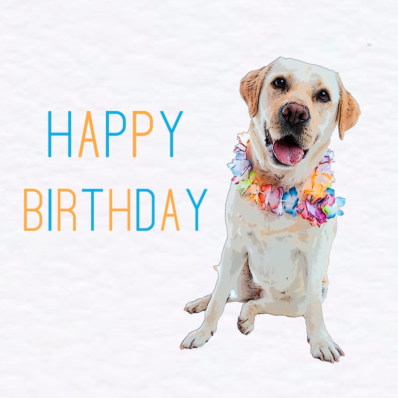 Labrador Birthday Card Yellow Labrador Greeting Card - Etsy